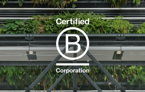 Learning Development Consultancy | Capability Group